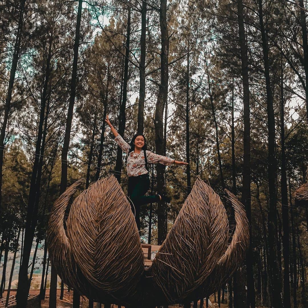 Puncak Becici Tempat Outbound Paling Indah di Jogjakarta
